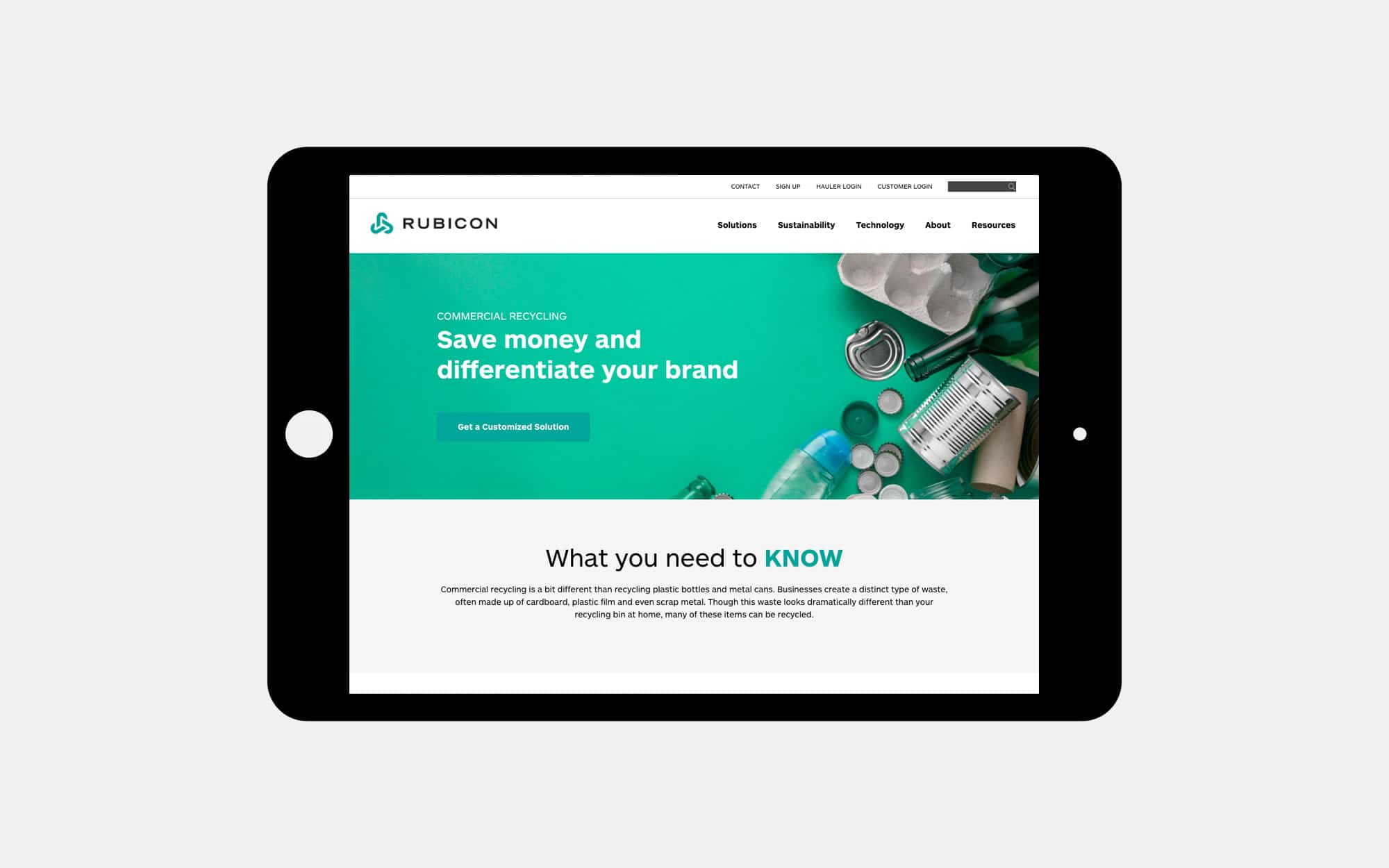 Rubicon Global – Primary Theory